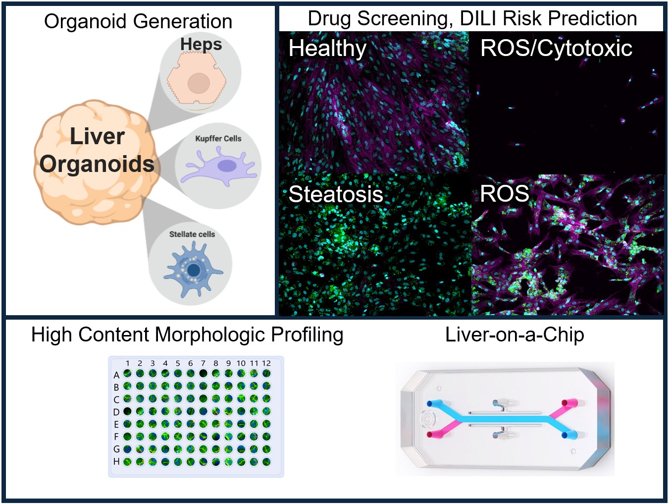 Technologies – Torch Bio